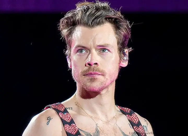 16 Famous Saddest Harry Styles Songs Make Everyone Cry, Ranked, Youtube ...